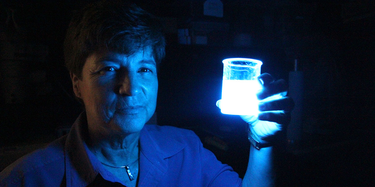 California Curated – True California stories