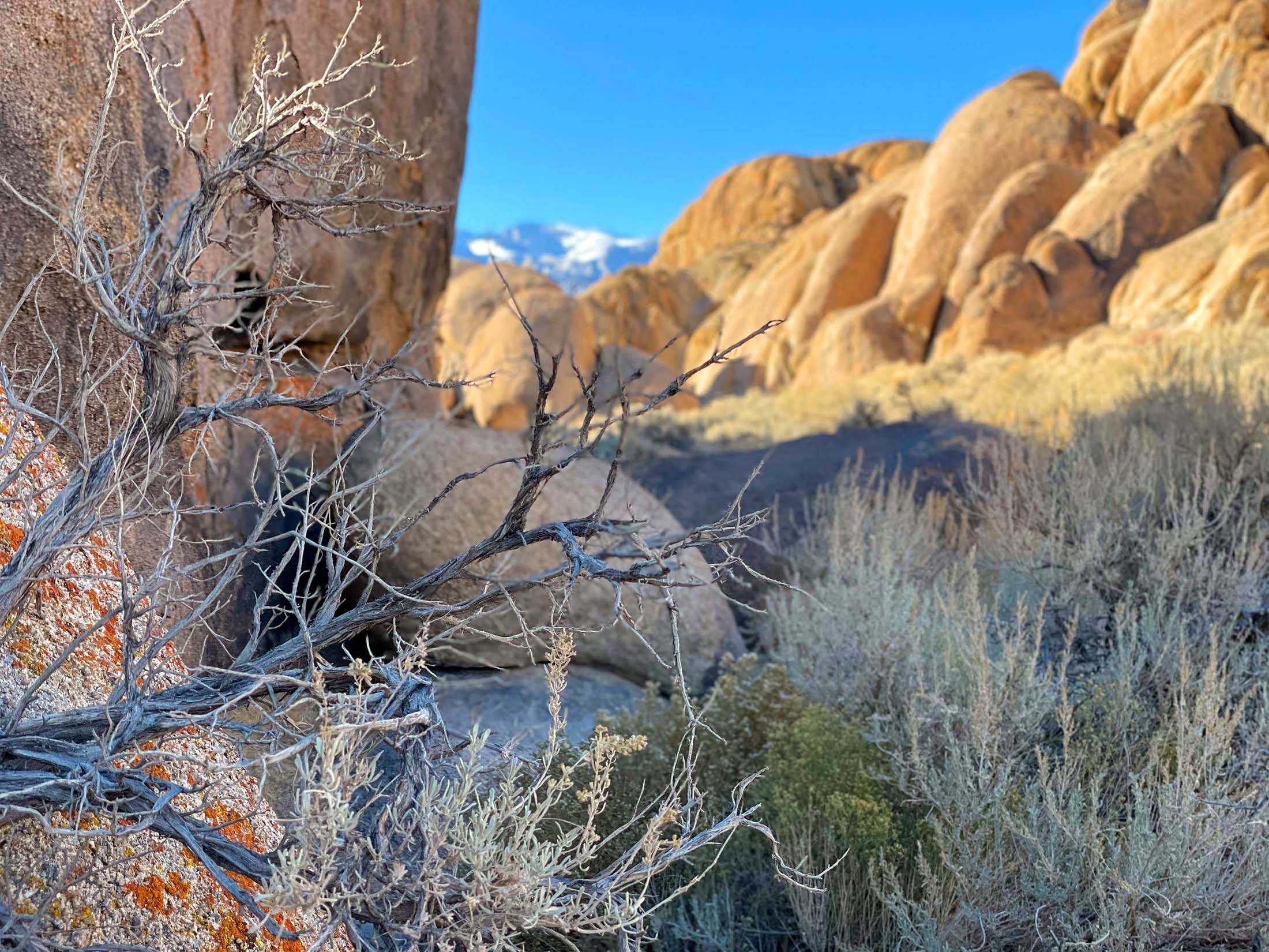 The Rich Historical and Geological Past of the Alabama Hills ...