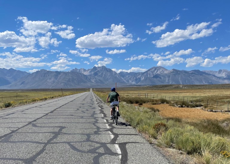 The Long Life and Accidental Death of the Prometheus Bristlecone Pine ...