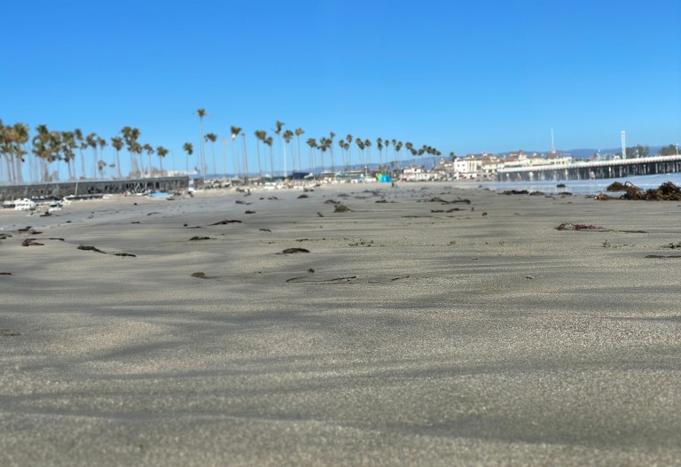 Where the Sand on Southern California’s Beaches Comes From – California ...
