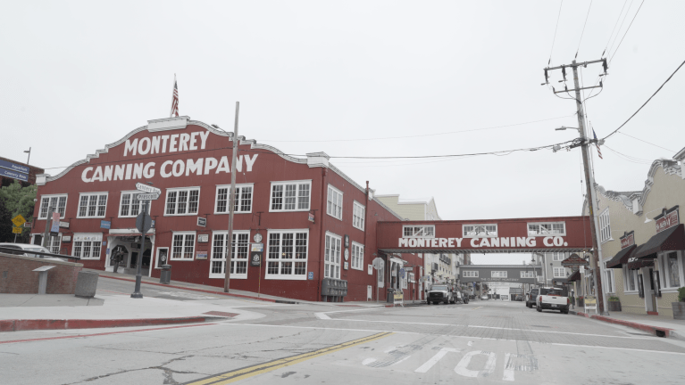 Julia Platt was the Unwavering Force Behind Monterey’s Ecological ...