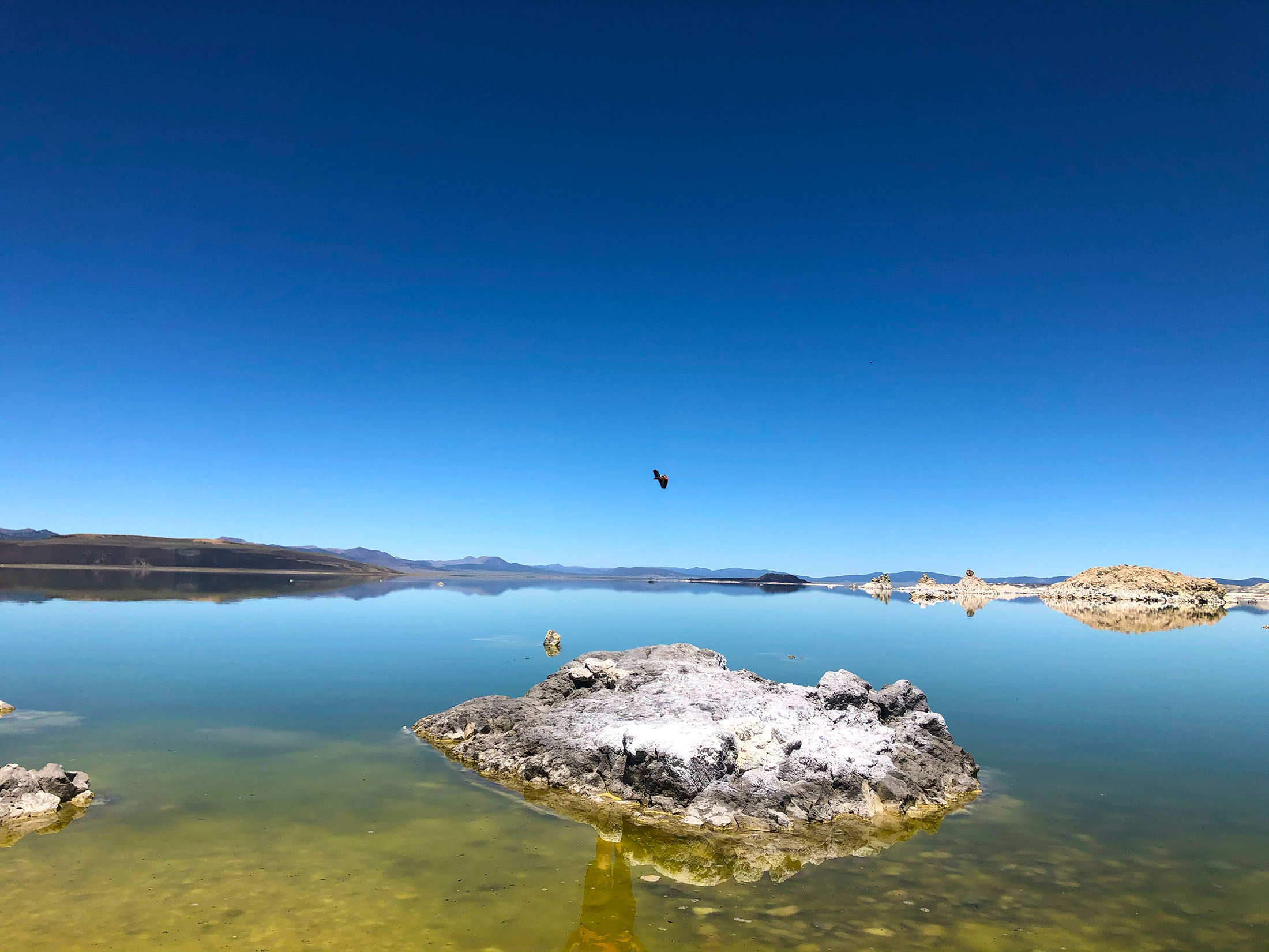Long Valley Caldera Discover the Science and Beauty of California’s ...